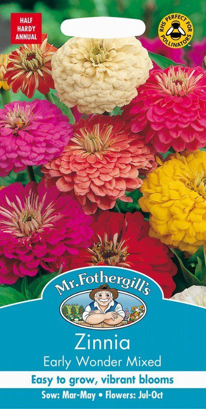 UK/FO-ZINNIA Early Wonder Mixed - Raglan Garden Centre