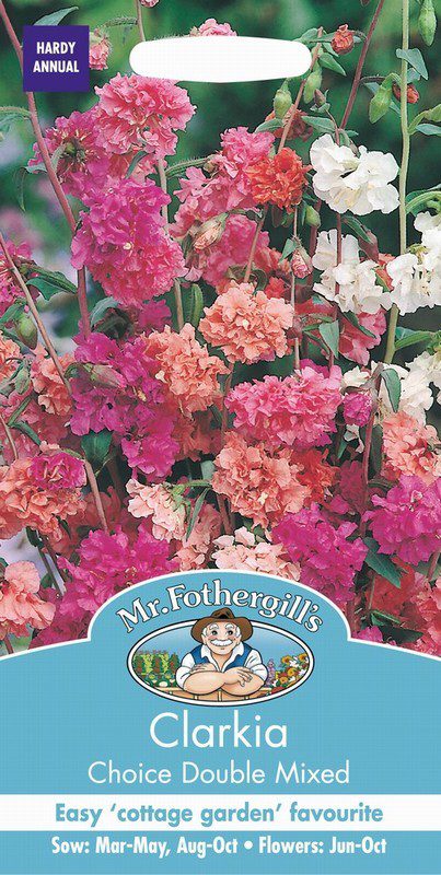 UK/FO-CLARKIA Choice Double Mixed - Raglan Garden Centre