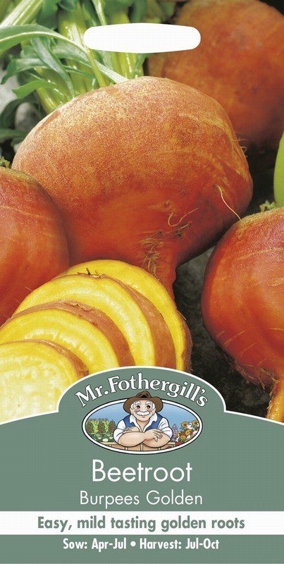 UK/FO-BEETROOT Burpees Golden - Raglan Garden Centre