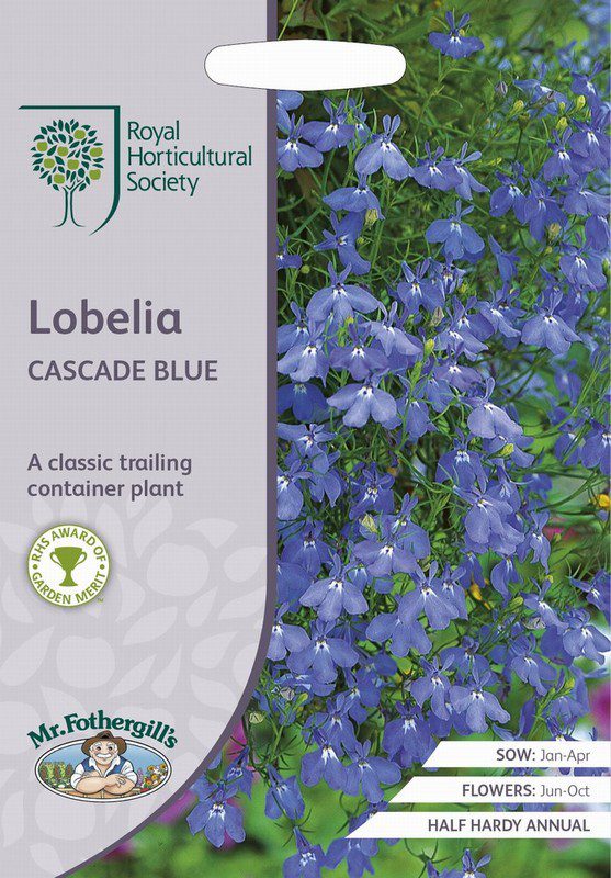 UK/FO-RHS-LOBELIA Cascade Blue - Raglan Garden Centre