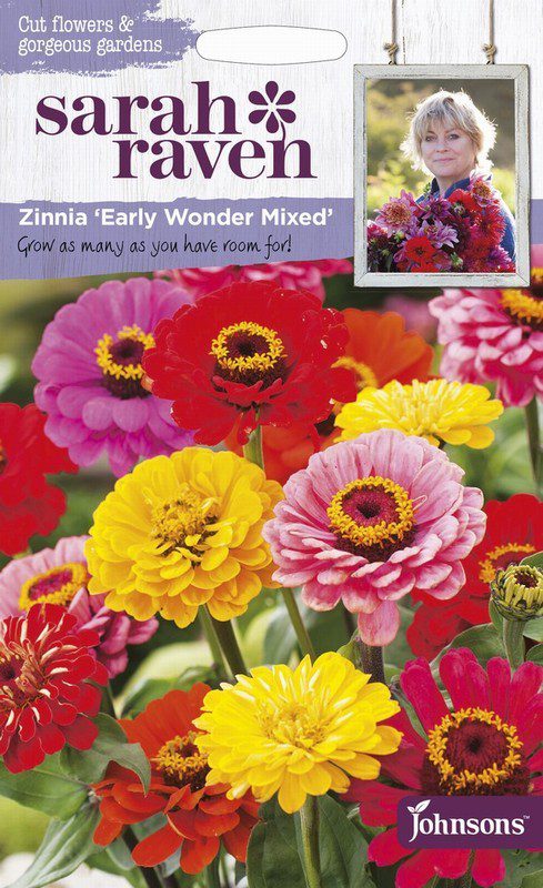UK/SR-ZINNIA Early Wonder Mixed - Raglan Garden Centre