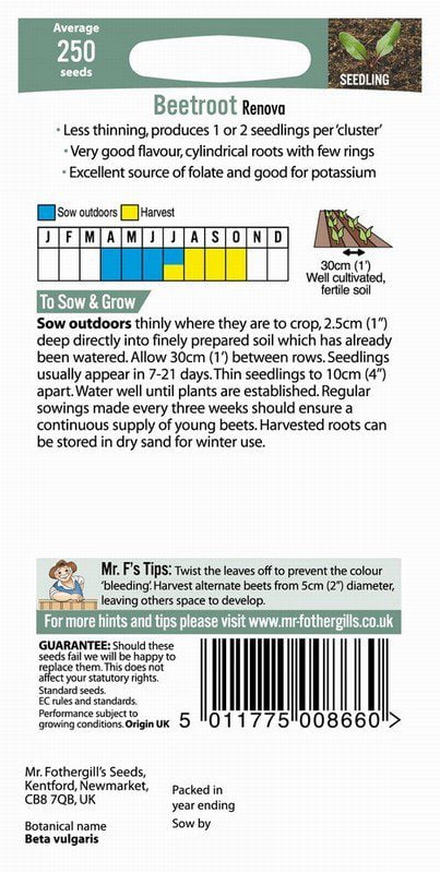 UK/FO-BEETROOT Renova - Raglan Garden Centre