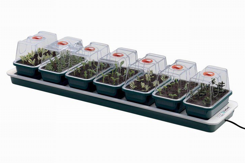 Super 7 Electric Windowsill Propagator - Raglan Garden Centre