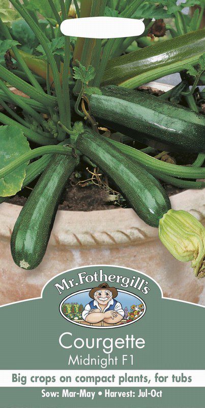 UK/FO-COURGETTE Midnight F1 - Raglan Garden Centre