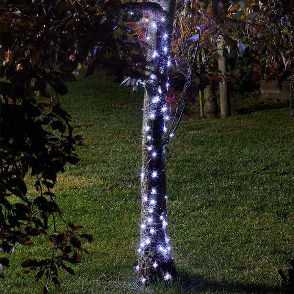 Firefly String Lights - 100 Cool White LED - Raglan Garden Centre
