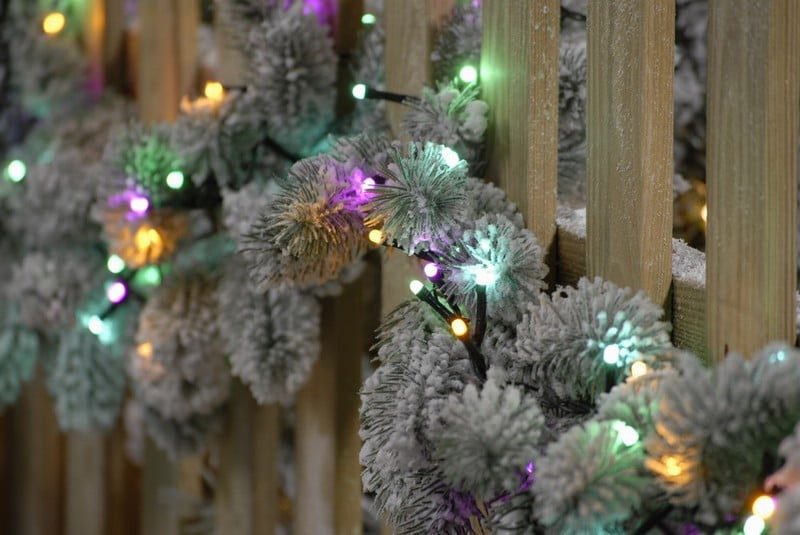 1000 glow-worm lights - aurora - Raglan Garden Centre