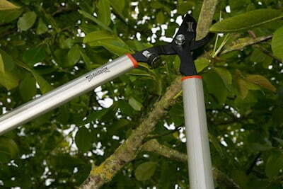 BYPASS LOPPERS - Raglan Garden Centre