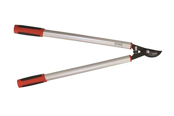 BYPASS LOPPERS - Raglan Garden Centre
